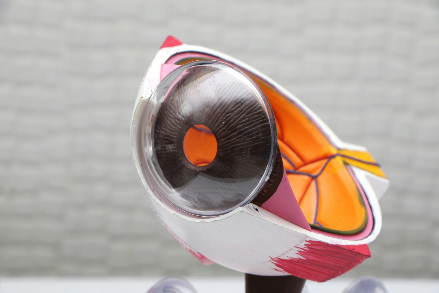 What Is The Best Coating For Lens Protection On A Hunting Scope ...